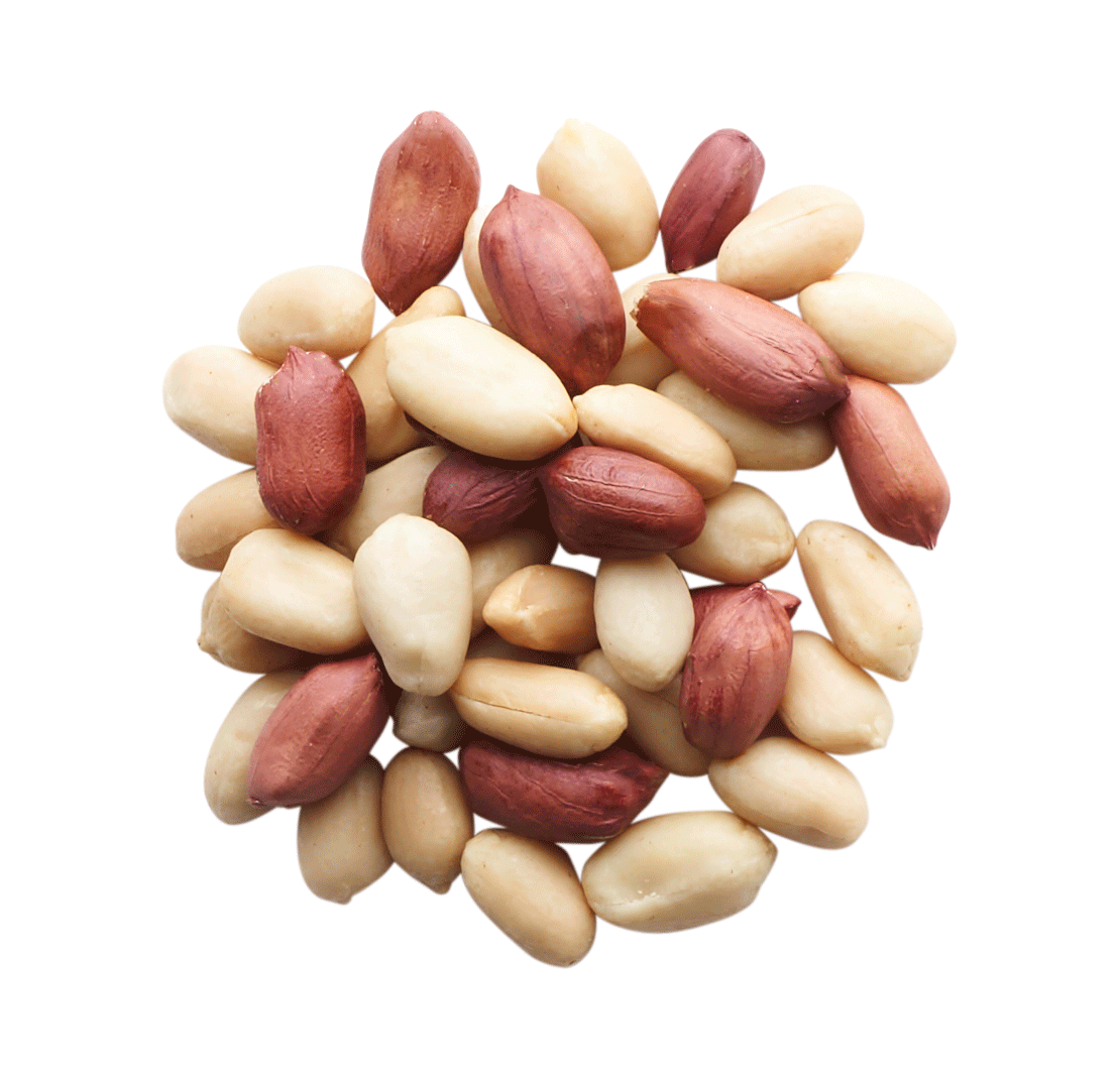 Maníes – NUTFRUIT – Plant-Based Power